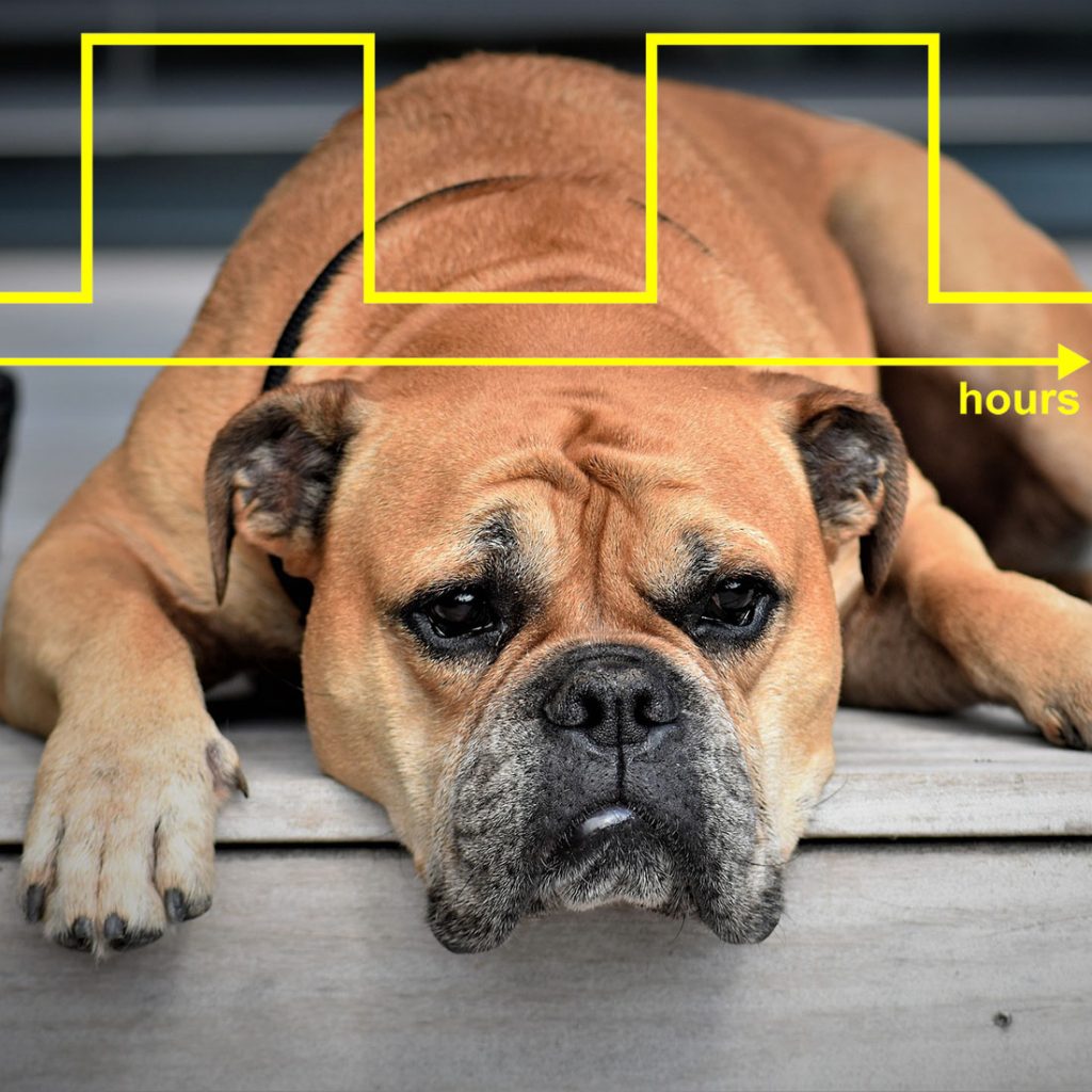 LTC6995 - Long Timer, Low Frequency Oscillator • Wolles Elektronikkiste